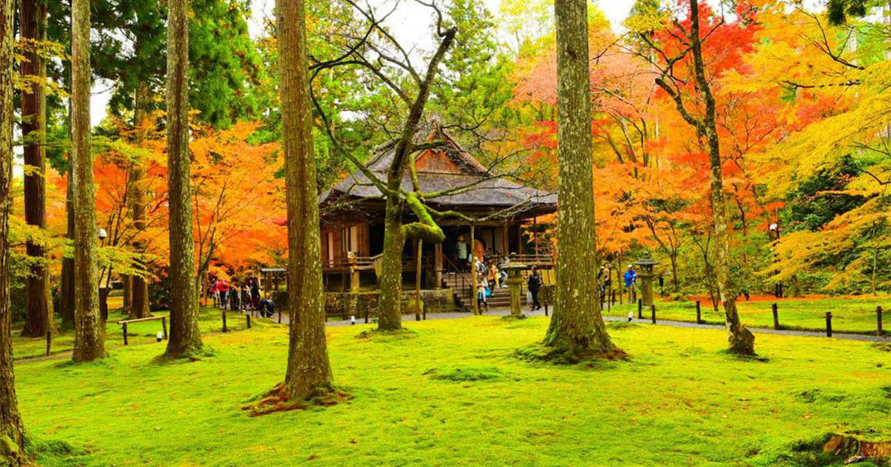 [Small Group 4-9 People] Kyoto Arashiyama & Kifune Shrine & Sanzenin ...